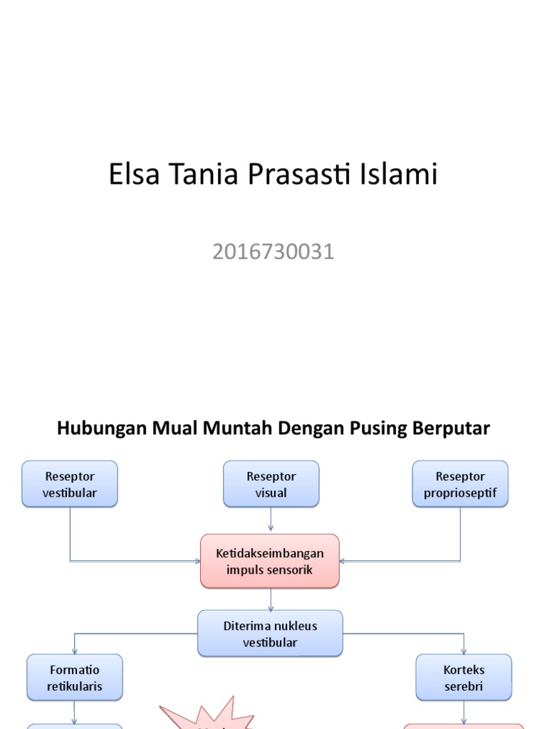 Hubungan Mual Muntah Modul 2 | PDF