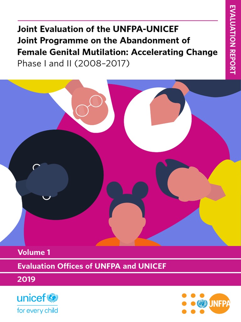 FGM Eval Vol1 FINAL PDF | PDF | Female Genital Mutilation | Evaluation