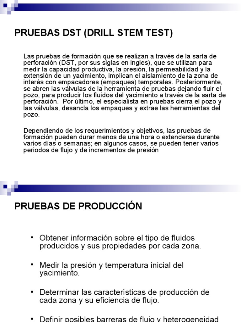 Pruebas DST: Evaluación de Yacimientos | PDF | Hogar, jardinería y ...