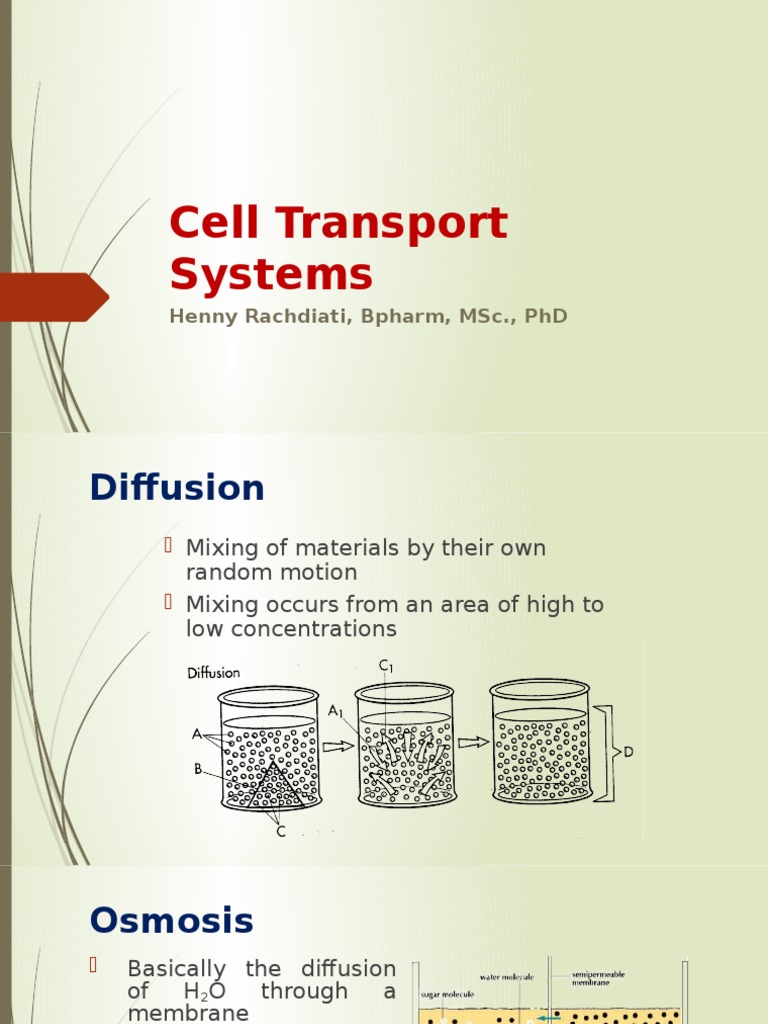 Cell Transport Systems: Henny Rachdiati, Bpharm, MSC., PHD | PDF ...