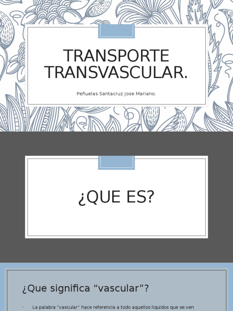 Transporte Transvascular | PDF | Sistema circulatorio | Bazo