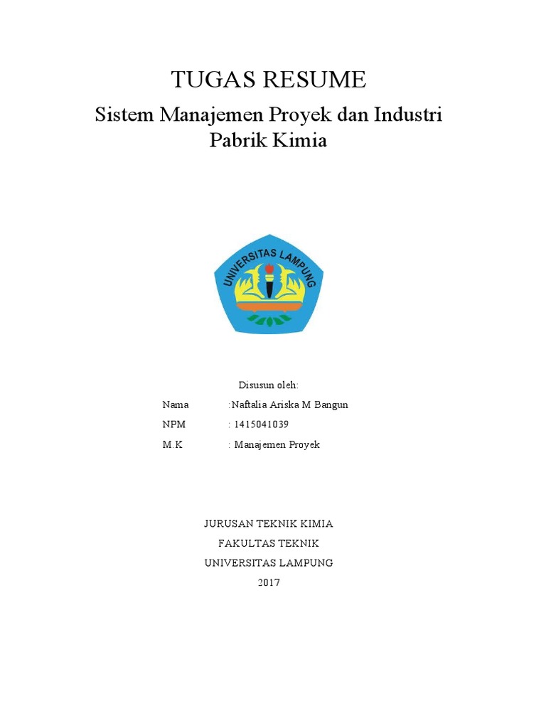 Manajemen Proyek Pabrik Kimia | PDF