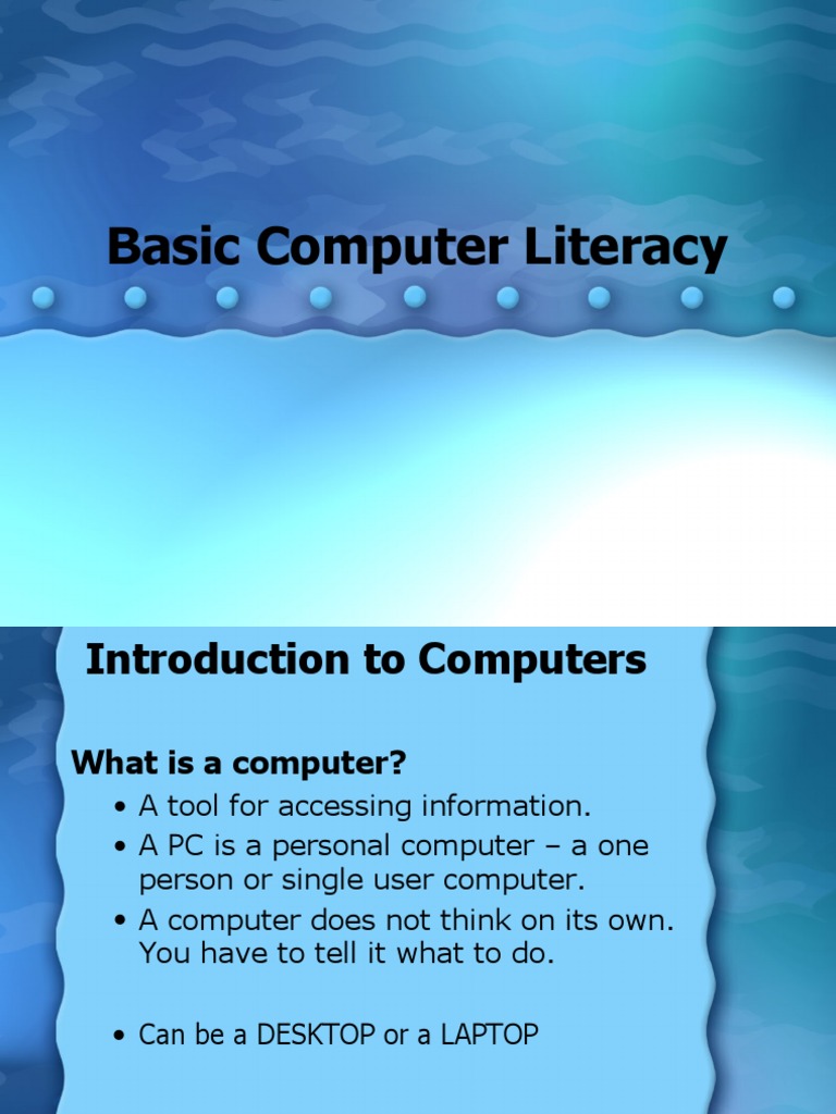 Basic Computer Literacylec | PDF