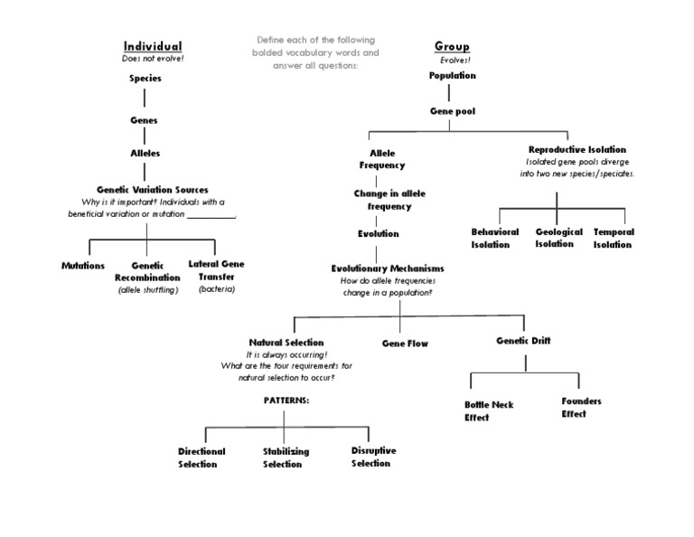 Concept Map | PDF | Natural Selection | Genetic Diversity