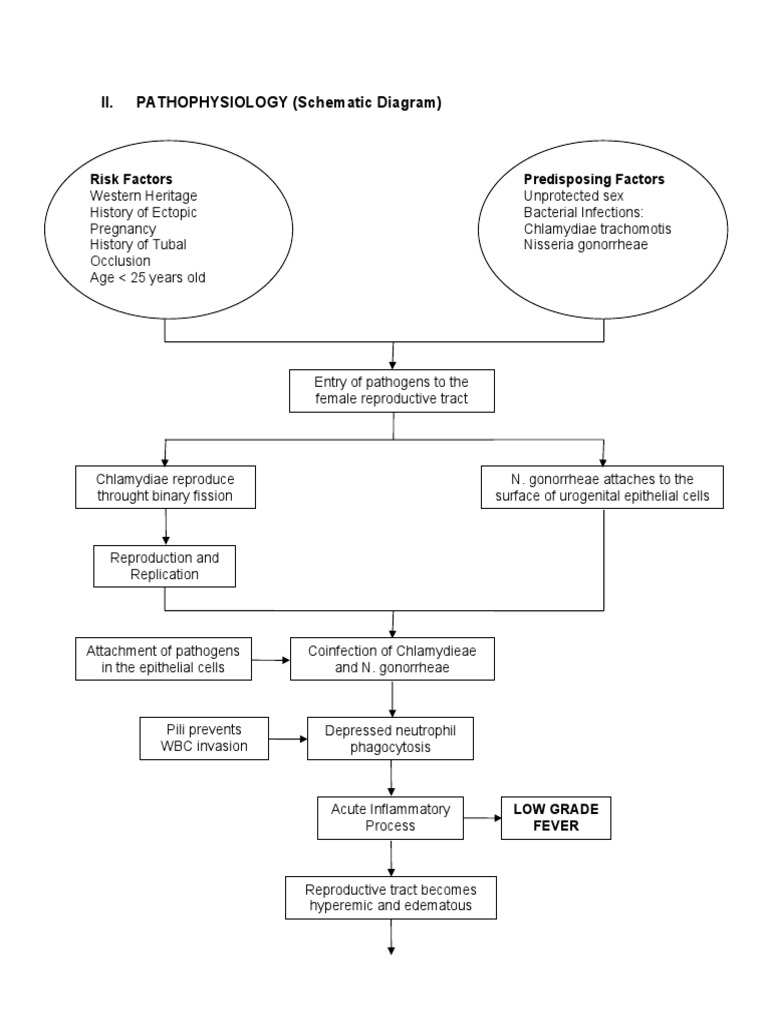 Pathophysiology (PID) | PDF | Vagina | Inflammation