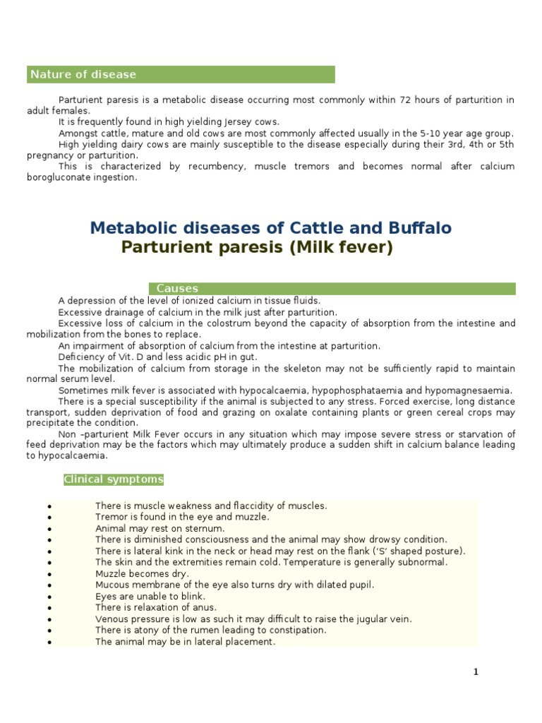 Metabolic Diseases of Cattle and Buffalo: Parturient Paresis (Milk ...