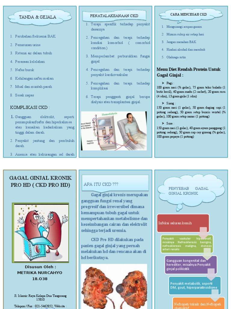 Leaflet CKD | PDF