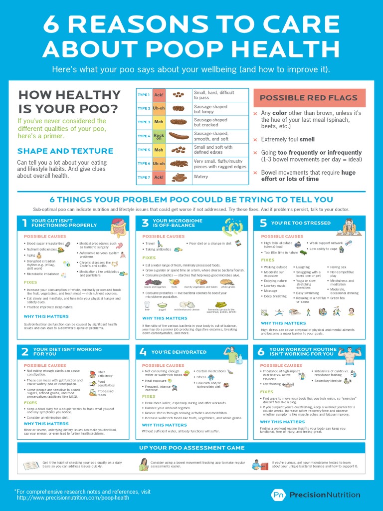 6 Reasons To Care About Poop Health Infographic Poster PDF | PDF ...