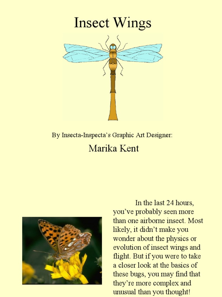 Insect Wings: Marika Kent | PDF | Insects | Zoology