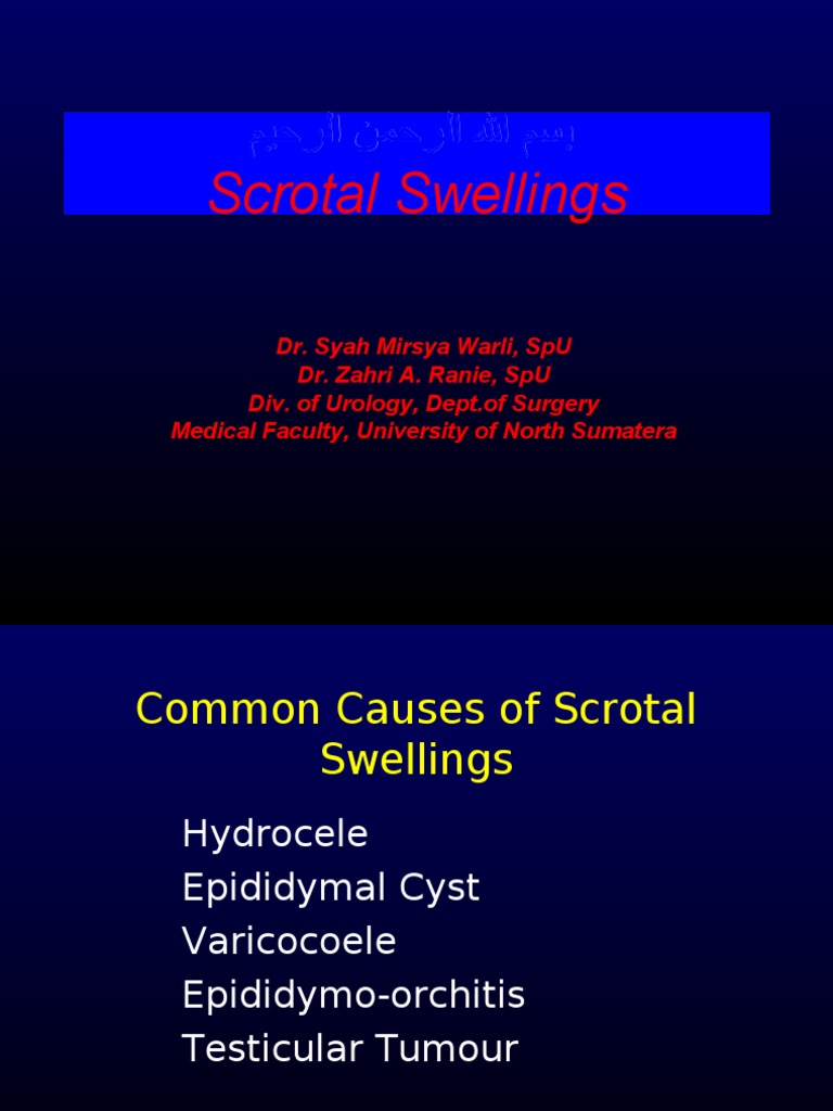 Scrotal Swellings | PDF | Medical Specialties | Diseases And Disorders
