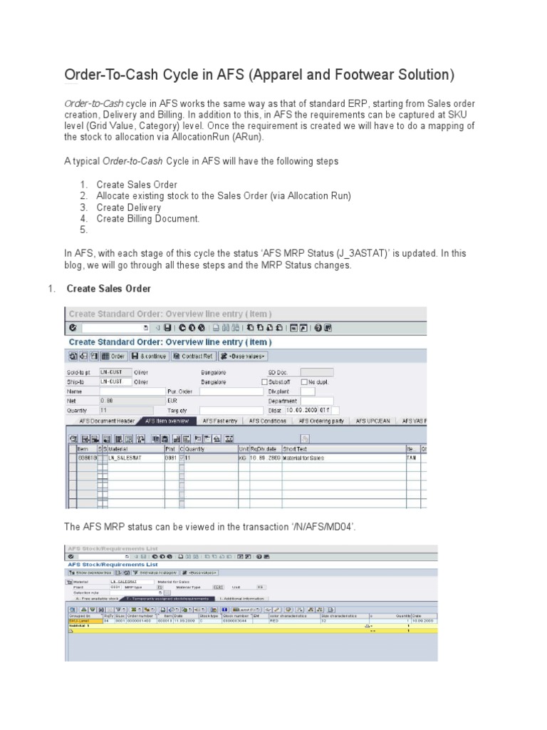 AFS Order-to-Cash Process Guide | PDF