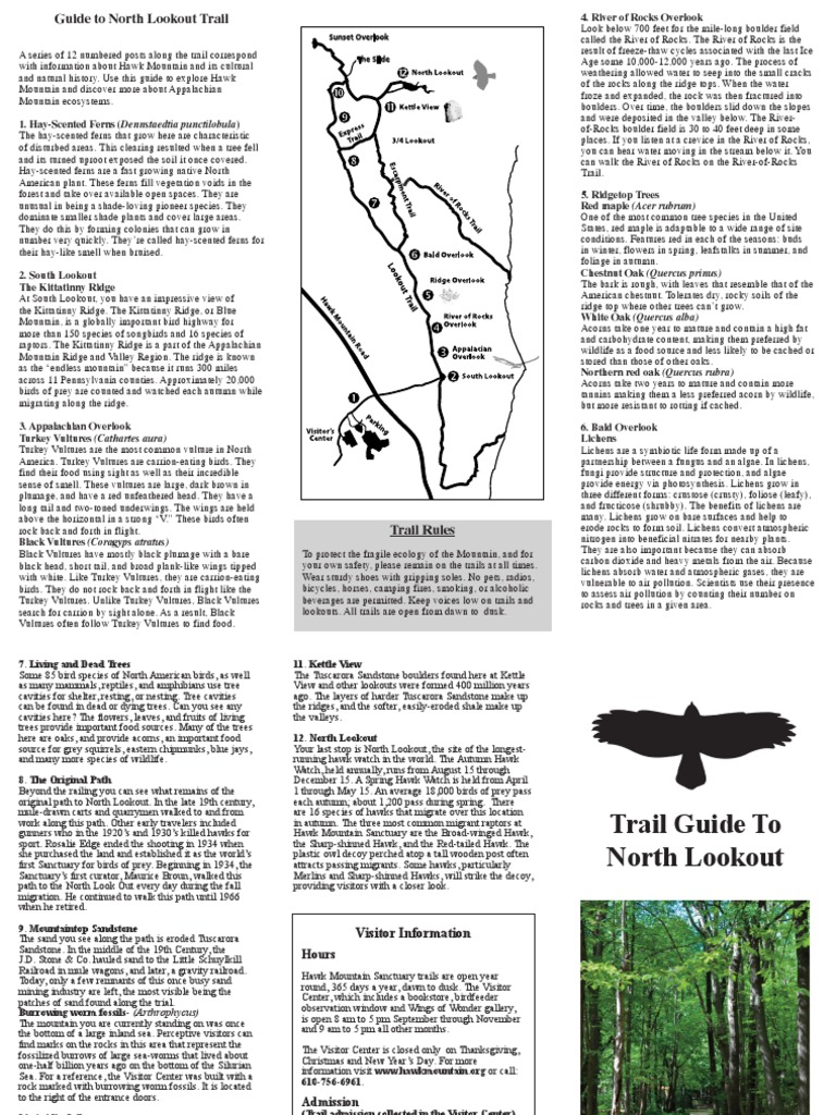 QR Code Trail Guide | PDF | Oak | Acorn