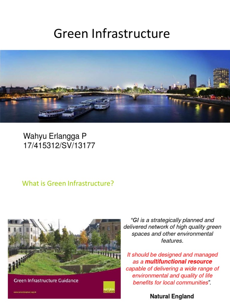 Green Infrastructure Planning Essentials | PDF