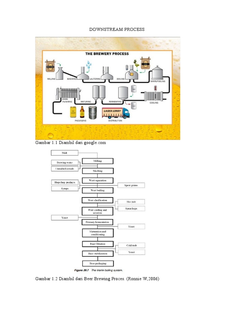 Downstream Process | PDF