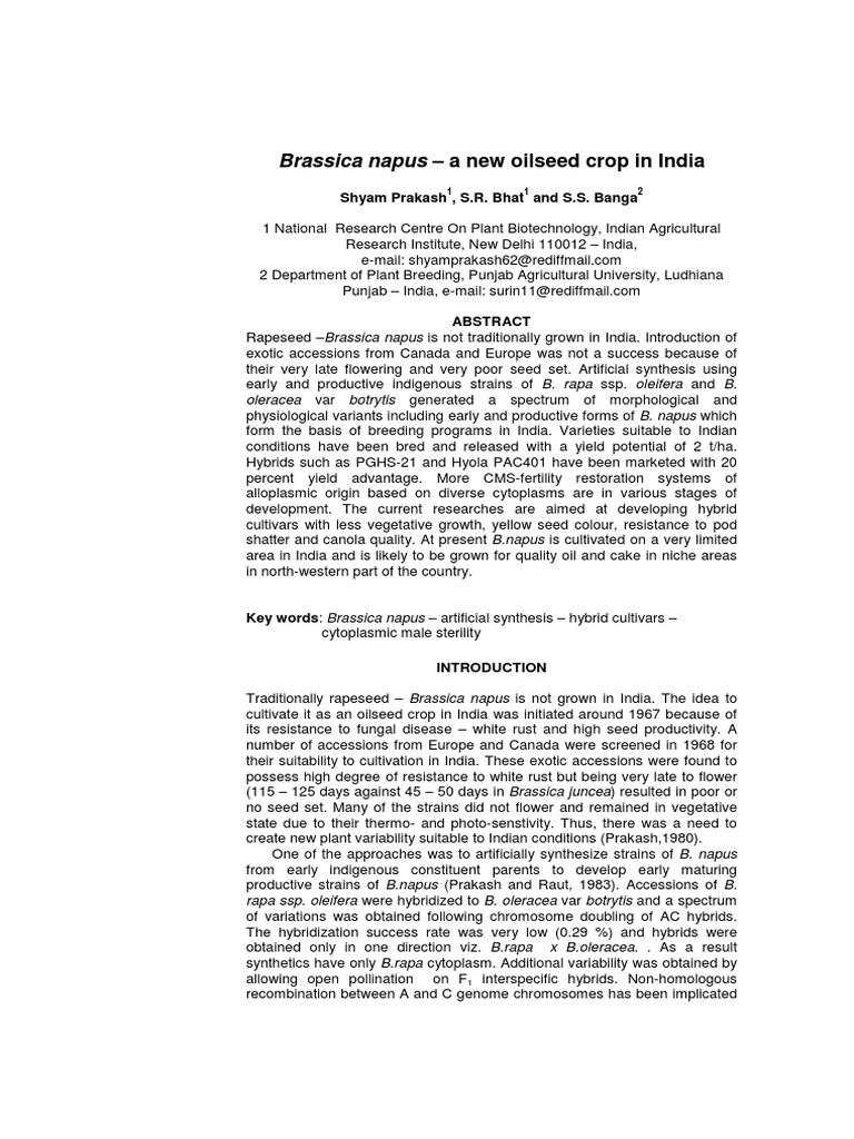 Brassica Napus A New Oilseed Crop In India Shyam Prakash Sr Bhat And Ss Banga Pdf