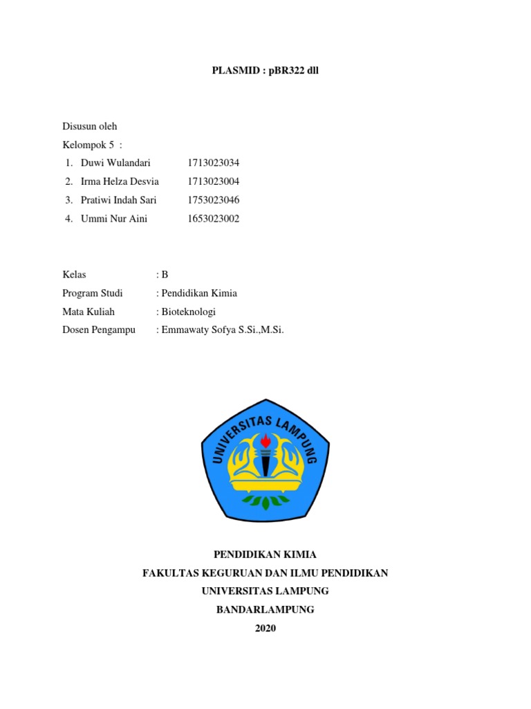 PLASMID pBR322 DLL | PDF