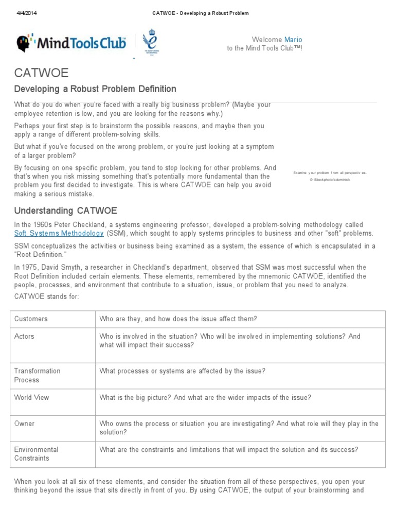 CATWOE - Developing A Robust Problem Definition | PDF | Brainstorming ...