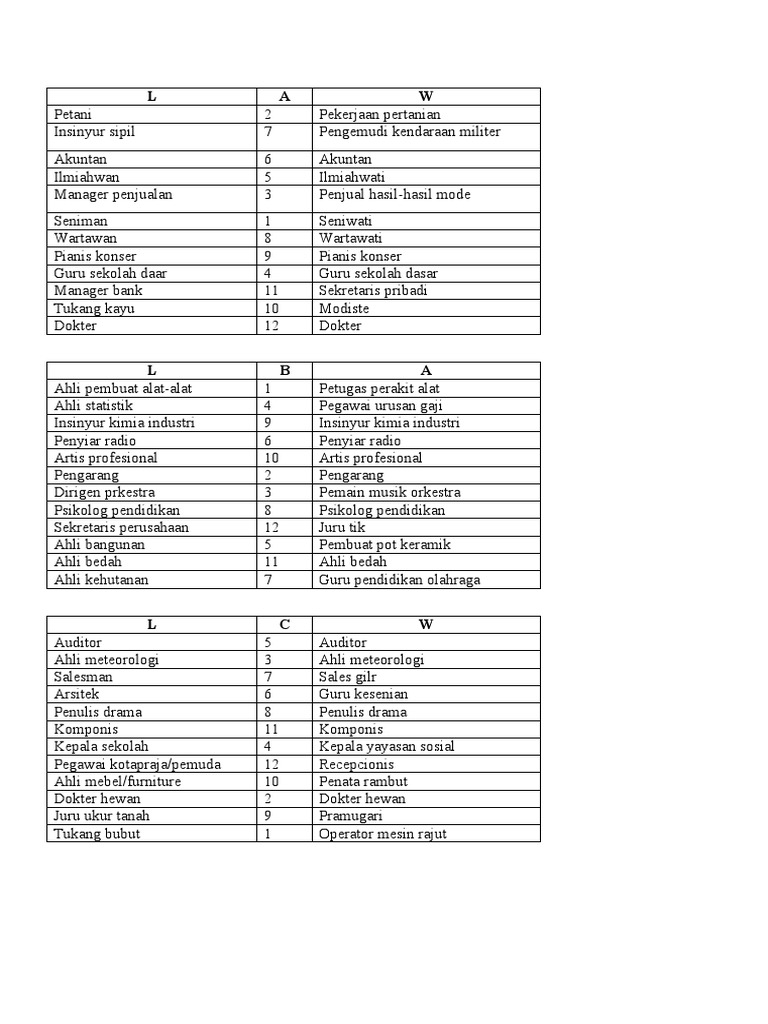 Tes Minat RMIB Hanapi | PDF