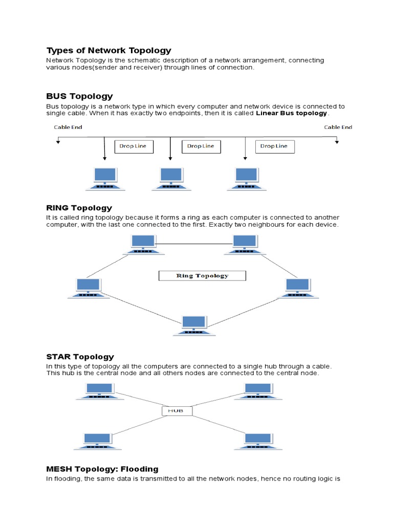 Types of Network Topology CSS 1 | PDF