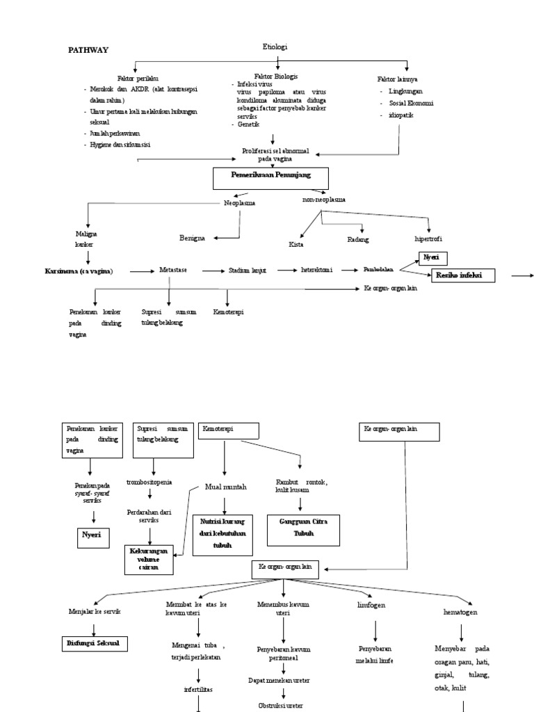 Pathway CA Vagina | PDF