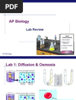 BIOZONE IB Biology 2nd Edition Sample Packet | PDF | Cell Potency | Mitosis