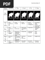 Royal Canin Body Condition Score Charts | PDF | Abdomen | Pelvis