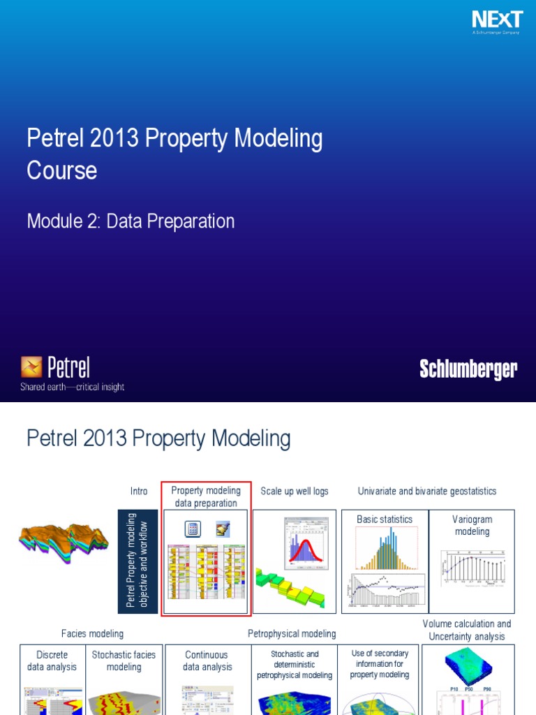 Petrel 2013 Property Modeling Course: Module 2: Data Preparation | PDF ...