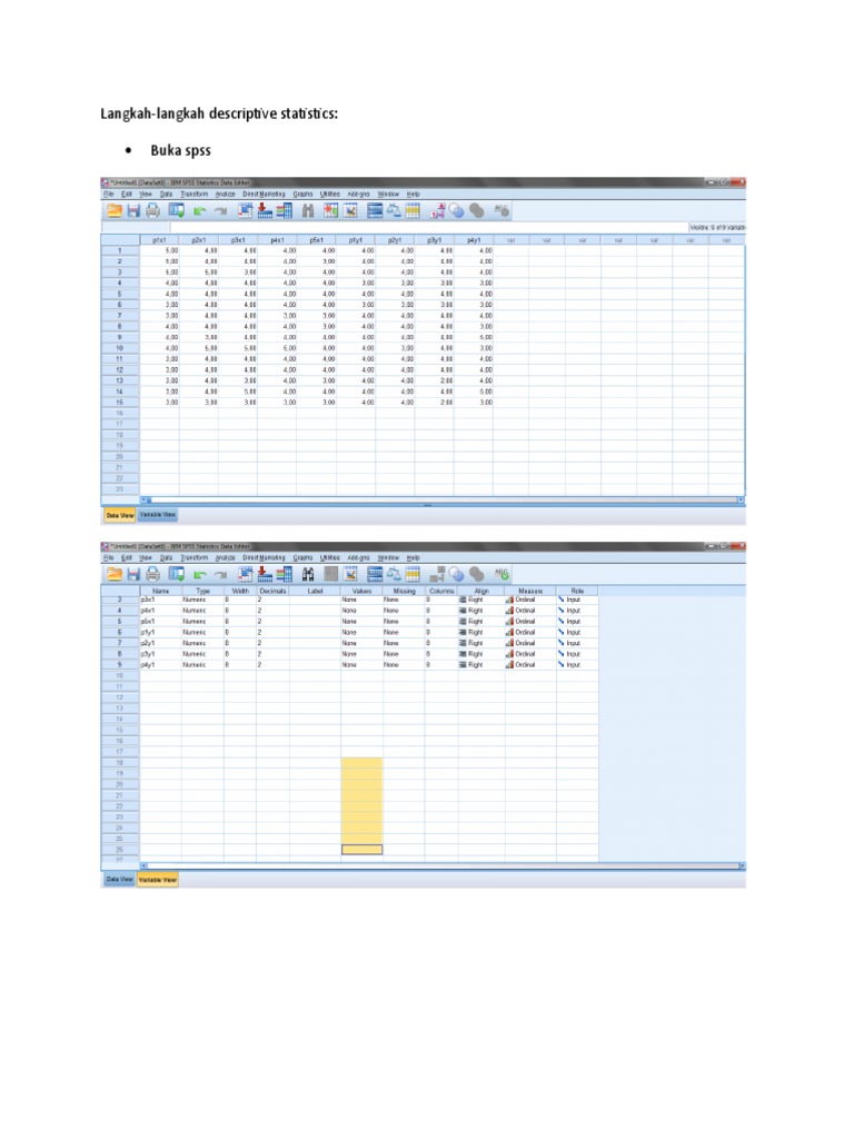 Langkah-Langkah Descriptive Statistics SPSS | PDF