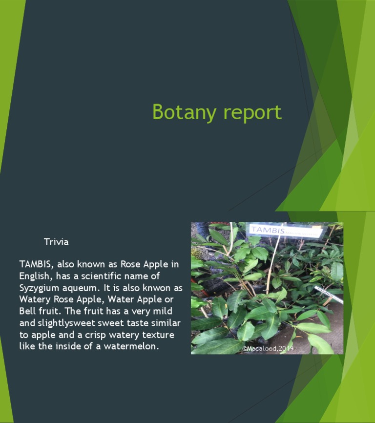 Botany Report | PDF