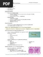 Renal Cheat Sheet | PDF | Urological Conditions | Internal Medicine