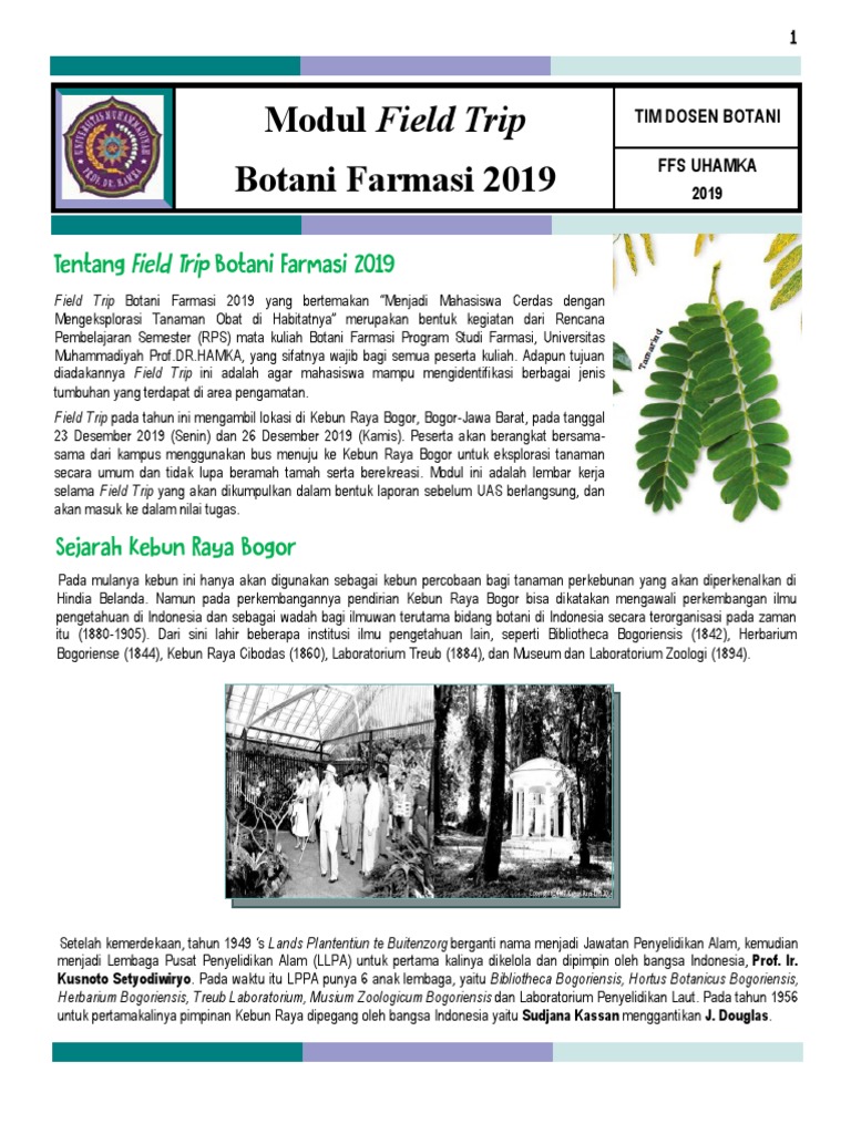 Modul Field Botani Revisi 2019 PDF | PDF