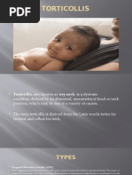 Navicular Drop Test Protocol | PDF | Foot | Ankle