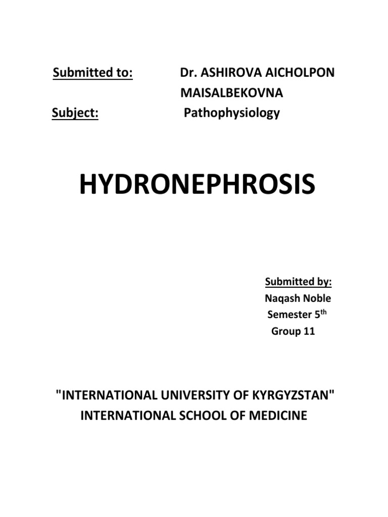 Hydronephrosis | PDF | Urology | Medicine