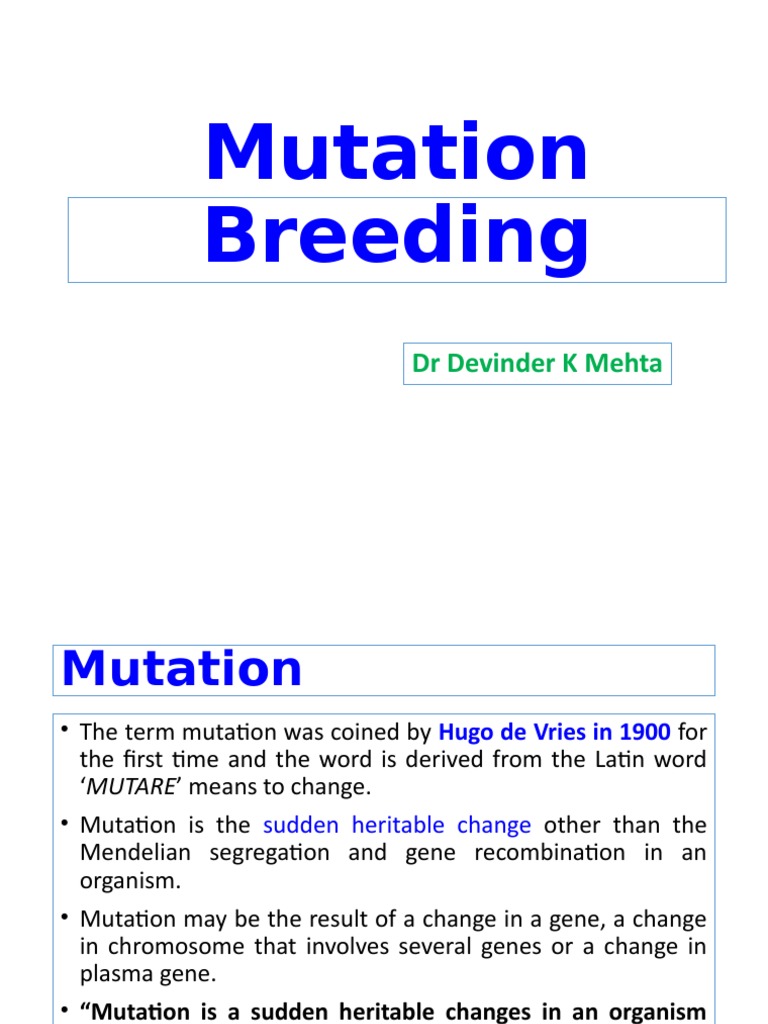 Mutation Breeding: DR Devinder K Mehta | PDF | Mutation | Plant Breeding
