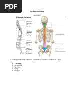 Prueba de Adams | PDF | La columna vertebral | Escoliosis