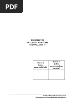 10 Adult Anesthesia Pre-Operative Evaluation Form | PDF | Anesthesia ...