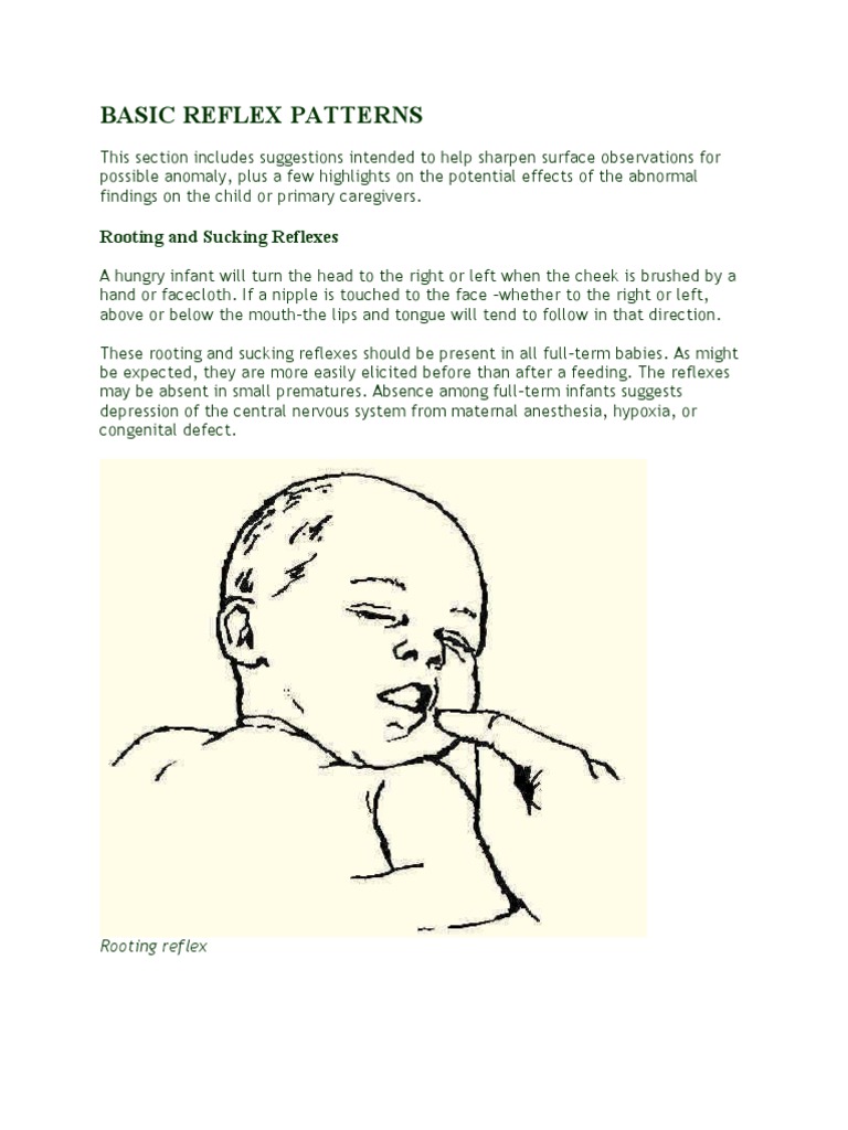 Basic Reflex Patterns | PDF | Anatomical Terms Of Motion | Infants