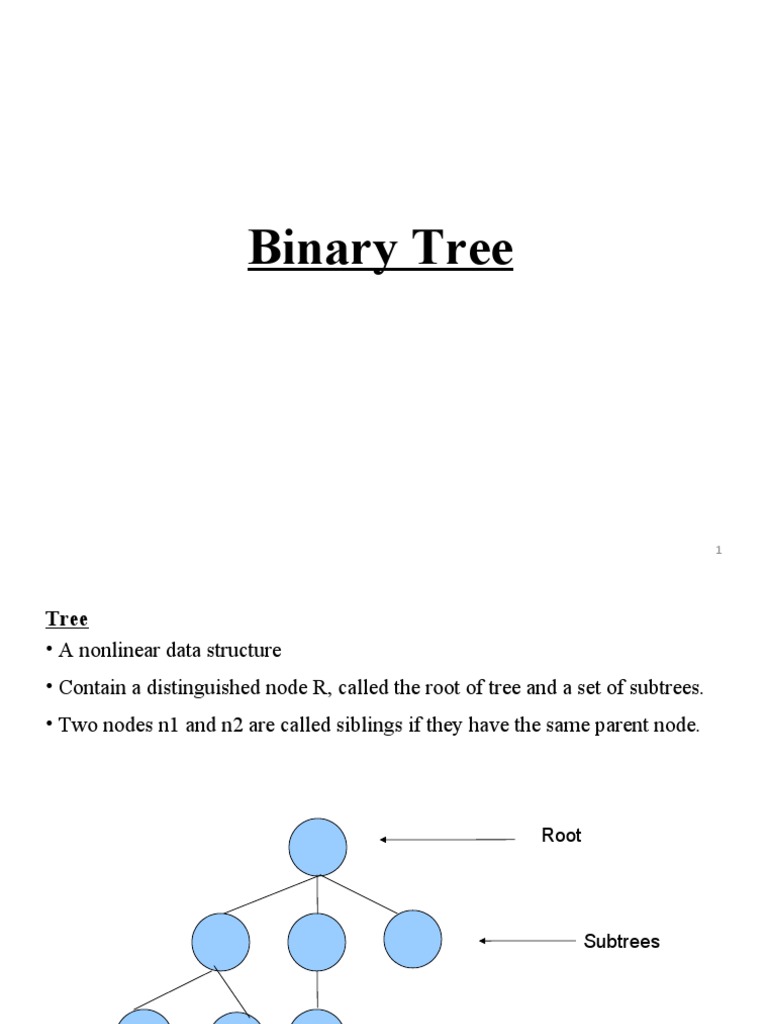 Lec-13 Binary Tree | PDF | Algorithms And Data Structures | Computer Programming