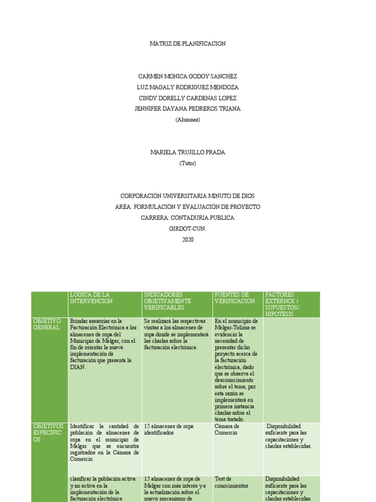 Matriz de Planificacion de Proyecto | PDF | Business | Science