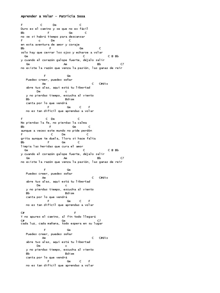 Aprender A Volar | PDF