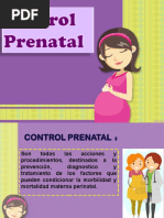 Carpeta Control Prenatal | PDF