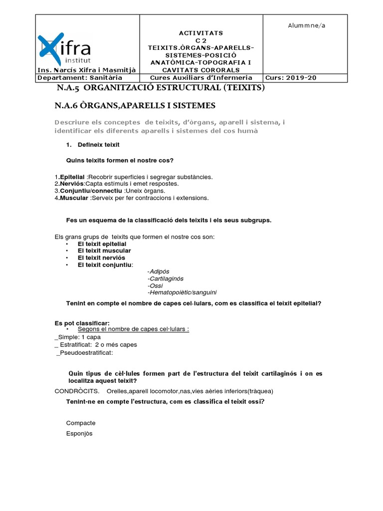 Dossier Teixits I Topografia Corregit | PDF