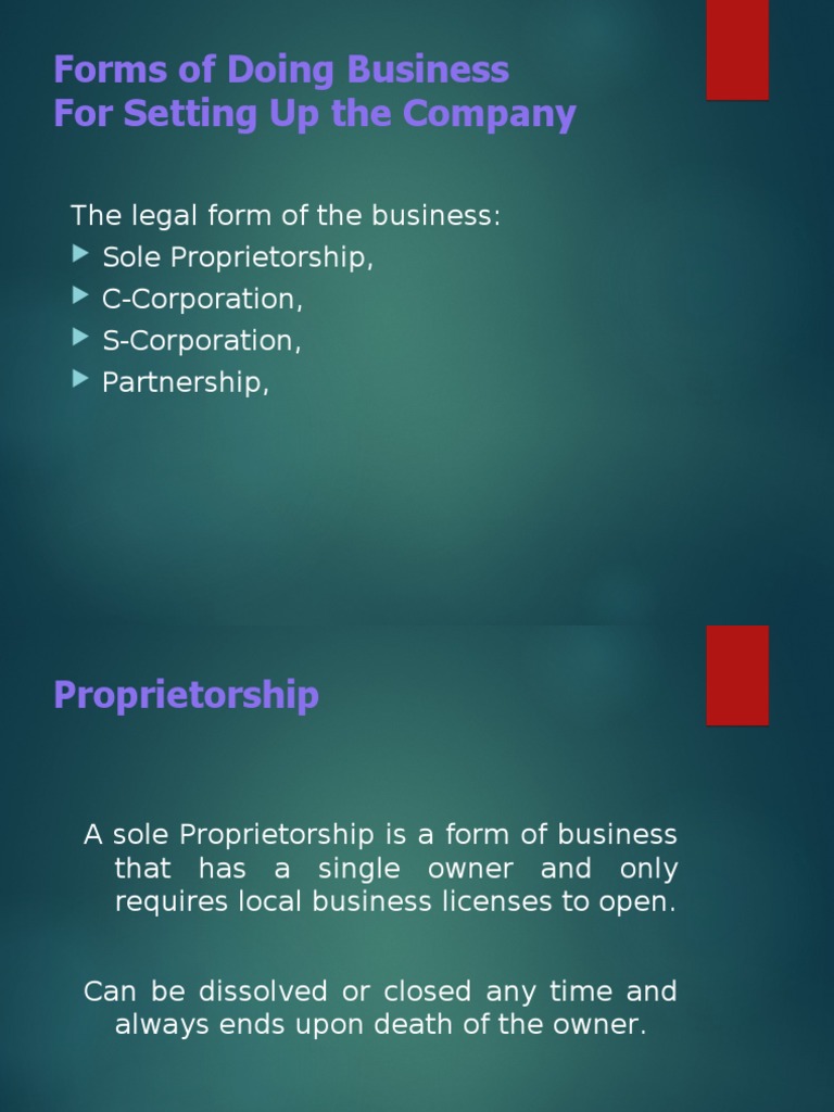 Setting Up The Company | PDF | S Corporation | Corporations