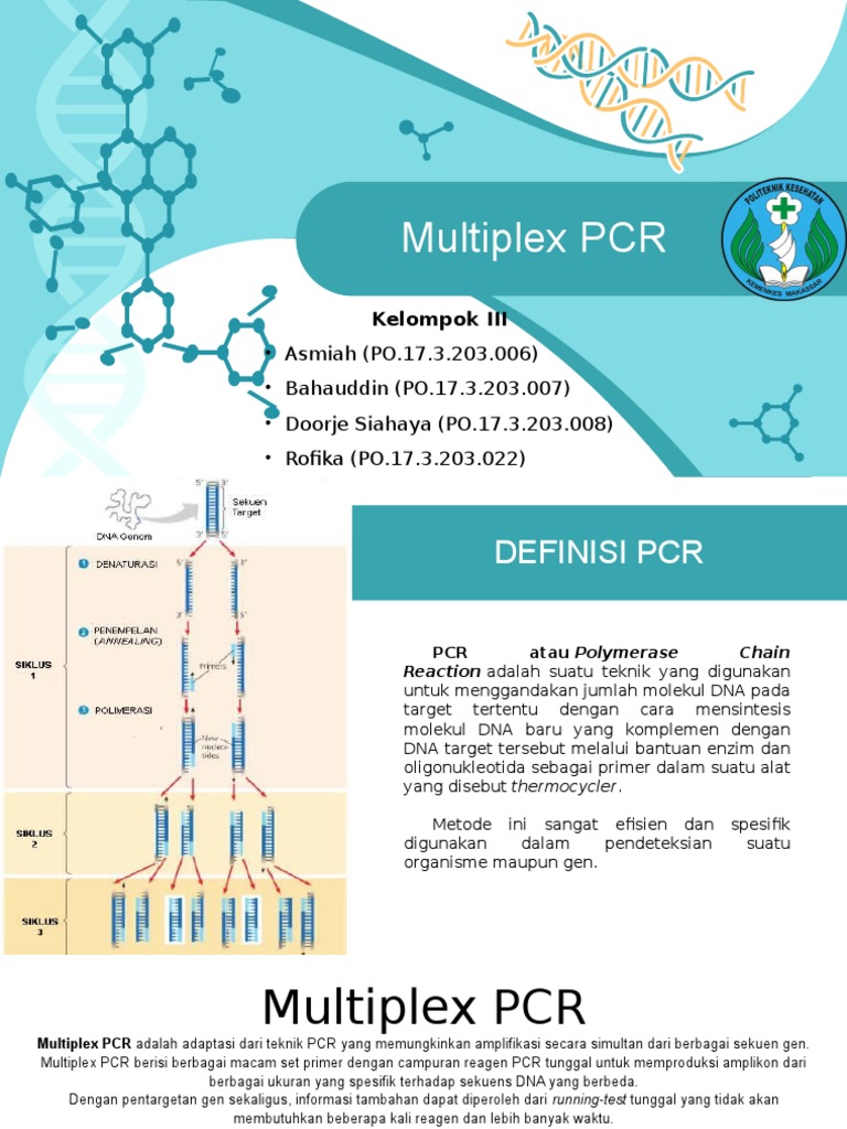 Multiplex PCR | PDF