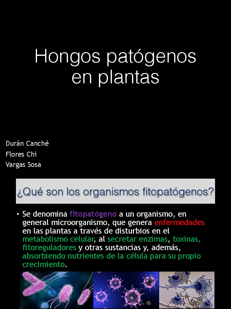 Hongos Patógenos en Plantas | PDF | Patologia de planta | Hongo