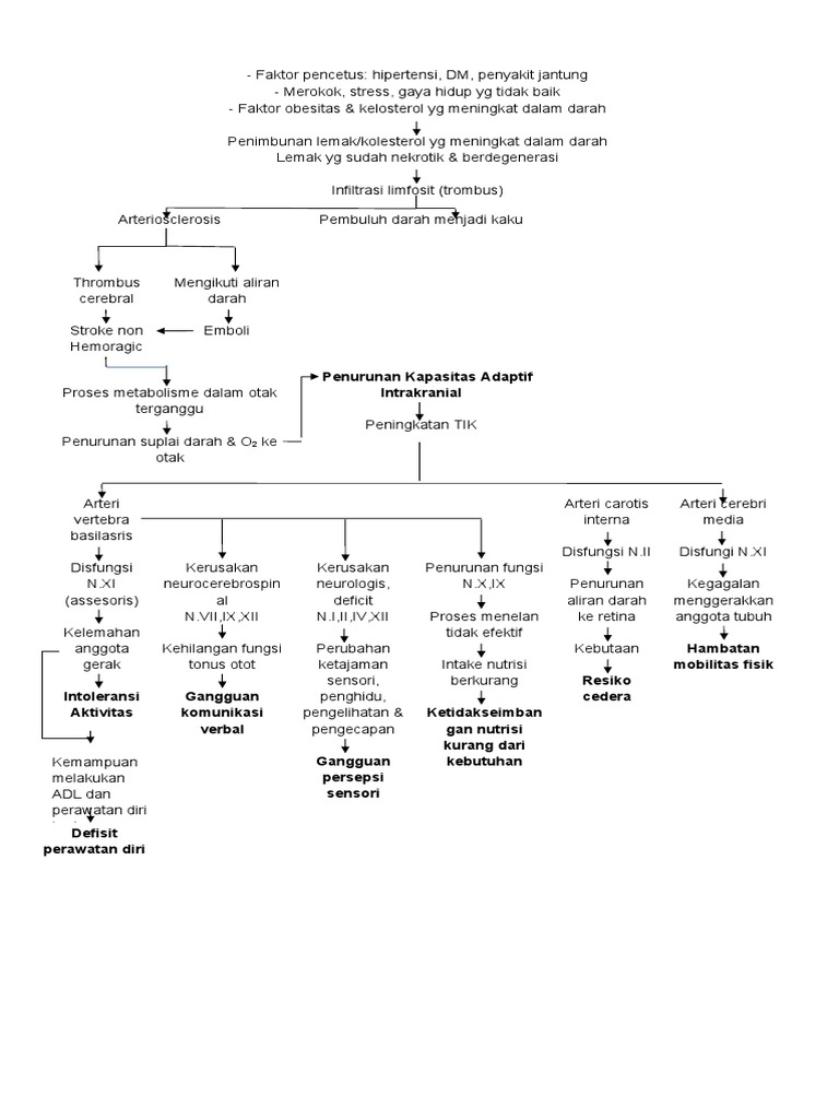 Pathway CVA Emboli | PDF