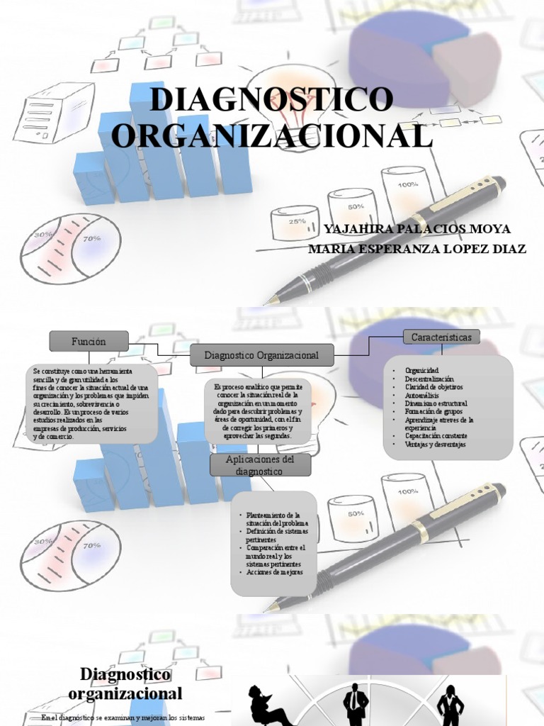 Diagnostico Organizacional | PDF | Desarrollo organizacional | Aprendizaje