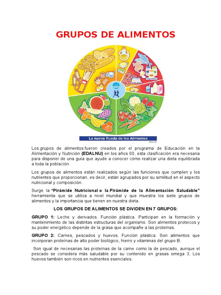 Grupos de Alimentos | PDF | Alimentos | Nutrición