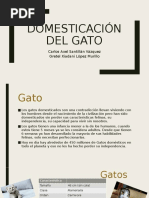 Texto Expositivo El Gato | PDF
