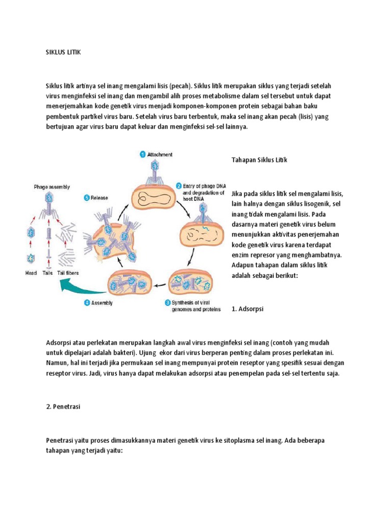 Siklus Litik | PDF